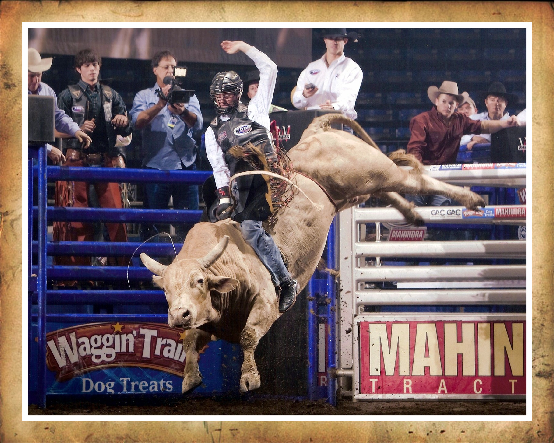 Dale Cox Bucking Bulls, Sold Bulls